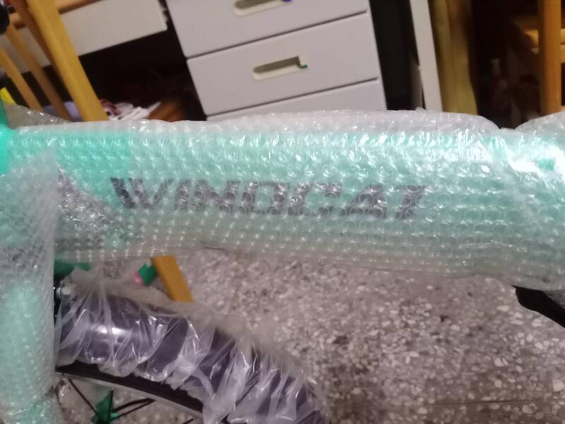 WINDCAT W21 21速摺疊車 | 露天市集 | 全台最大的網路購物市集