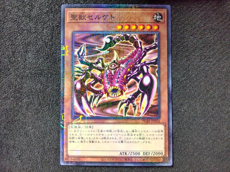 (新世界) PGB1-JP024 聖獸 瑟爾肯特 普卡古鑽 99-95分 | 露天市集 | 全台最大的網路購物市集