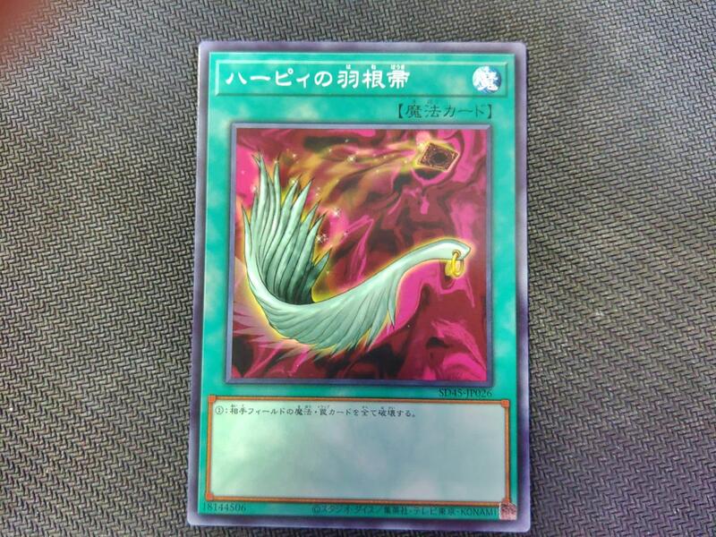 (新世界) SD45-JP026 神鷹羽毛掃 快樂羽毛掃 普卡 99-95分 | 露天市集 | 全台最大的網路購物市集