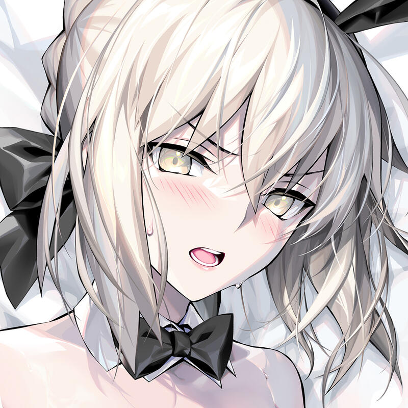 [C104預約][GH.K][光崎]ちょっとHなバニーセイバーオルタ抱き枕カバー 抱枕套 FGO 預約到8月20日 | 露天市集 | 全台最大的網路購物市集