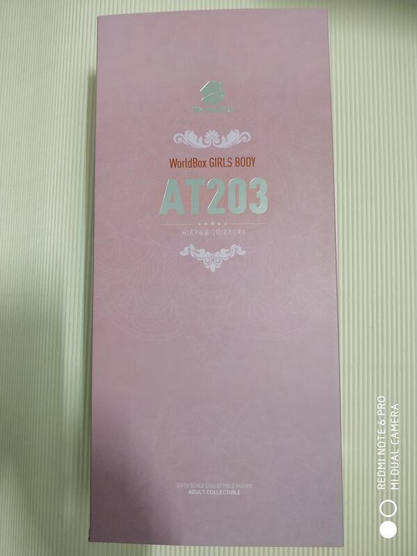Worldbox AT203 1/6 耐超 女素體 白膚 | 露天市集 | 全台最大的網路購物市集