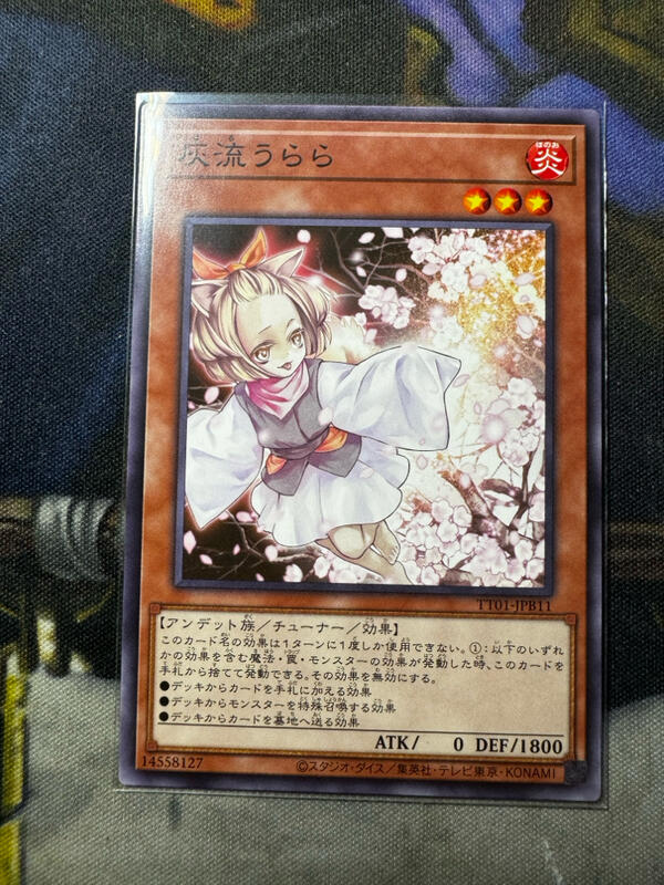 遊戲王 日紙 TT01-JPA09 JPC04 JPB11 SD44-JP014 SD35-JP019 灰流麗 (普卡) | 露天市集 | 全台最大的網路購物市集