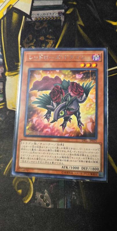 [九四賣客] DP21-JP025 紅薔薇龍 (銀字) | 露天市集 | 全台最大的網路購物市集