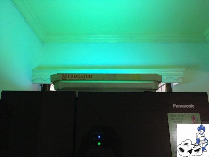 PROCATCH 適合各種場所(附全新飛利浦燈管)~專業捕蠅蟲燈【8坪用抽屜式捕蟲燈 L-102】－特效除蟲 | 露天市集 | 全台最大的網路購物市集