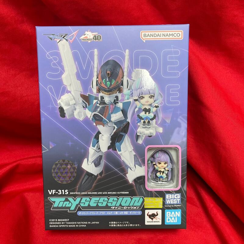(莫古里)現貨 代理版 TINY SESSION 超時空要塞 VF-31S 齊格菲(阿拉德機)&美雲 | 露天市集 | 全台最大的網路購物市集