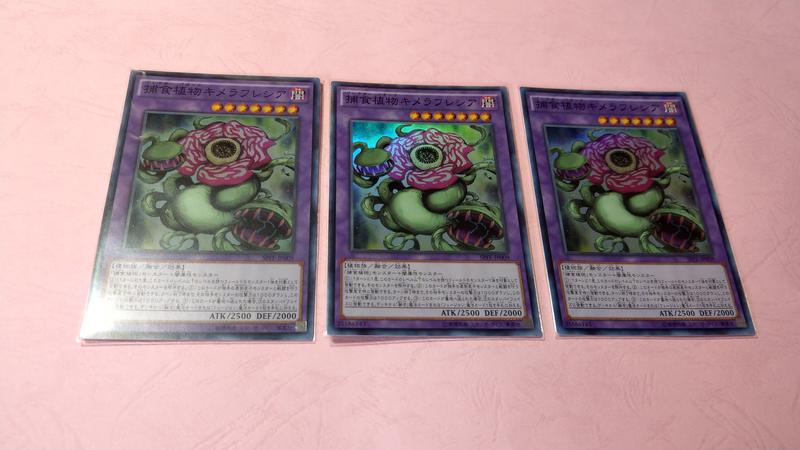 遊戲王 代賣 SPFE-JP009 捕食植物 奇美拉大花草 (亮面)(全新)(3張一組)搜尋 LVP3-JP072 | 露天市集 | 全台最大的網路購物市集