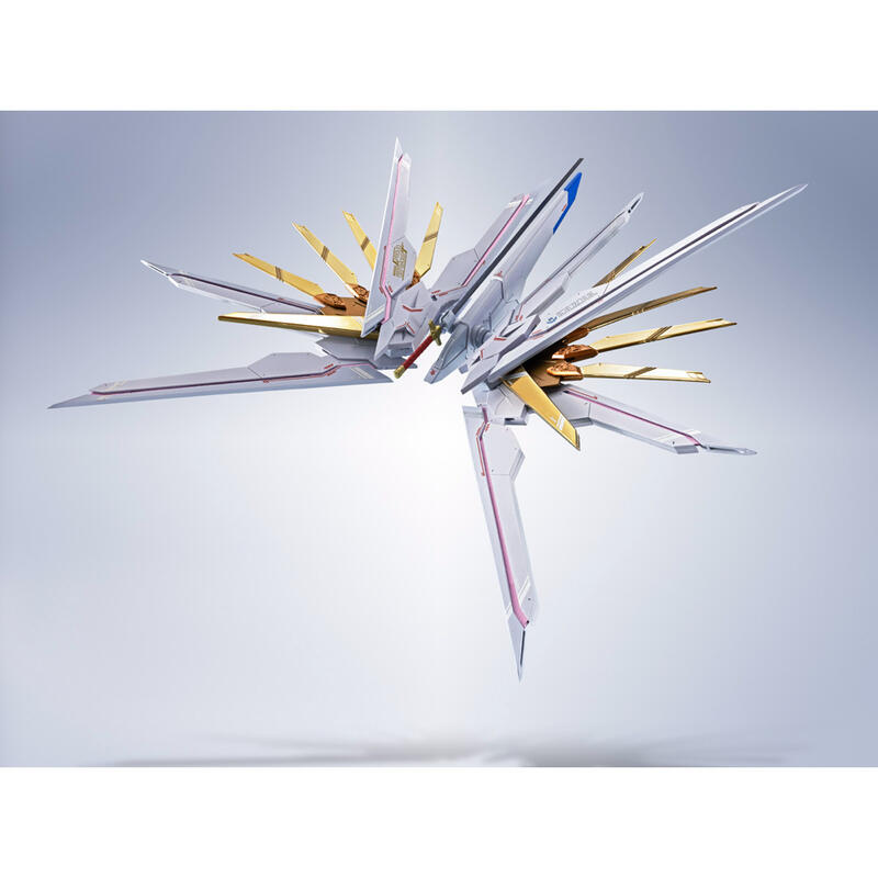 (台PB預購)MR魂 攻擊自由 貳式 榮耀捍衛者 STRIKE FREEDOM TYPEⅡ PROUD DEFENDER | 露天市集 | 全 ...