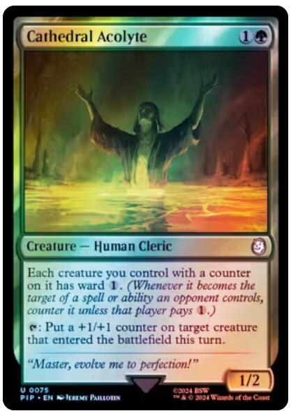 [ALG卡牌專門] PIP Fallout 異塵餘生 Cathedral Acolyte 英文 普/閃 | 露天市集 | 全台最大的網路購物市集