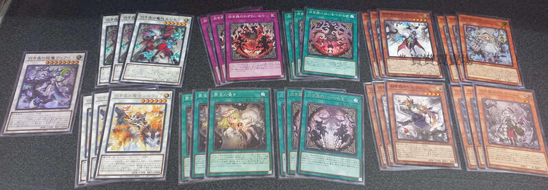 遊戲王 1205 INFO 白之森 牌料 一套 INFO-JP013 INFO-JP014 INFO-JP040 | 露天市集 | 全台最大的網路購物市集