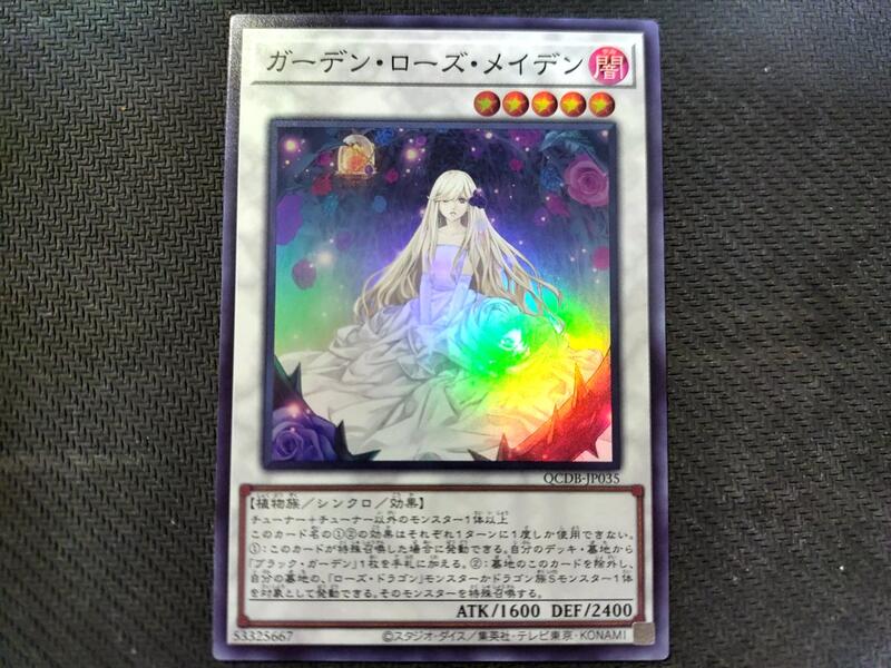 (新世界) QCDB-JP035 花園薔薇少女 亮面 99-97分(琛 | 露天市集 | 全台最大的網路購物市集