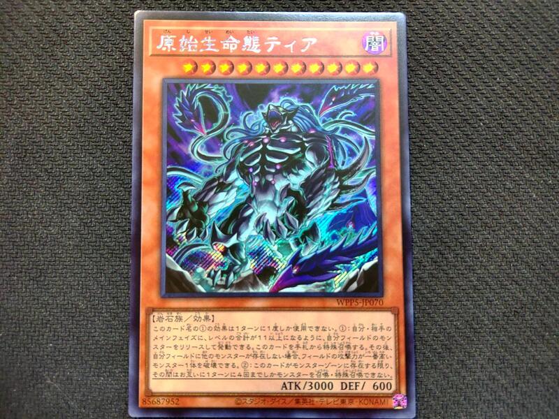 (新世界) WPP5-JP070 原始生命態 特伊亞 斜鑽 99-97分 | 露天市集 | 全台最大的網路購物市集