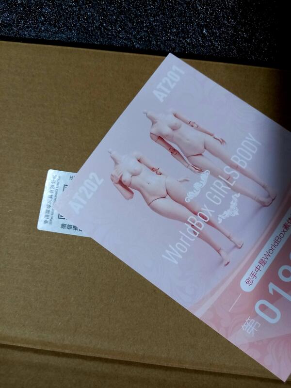 Worldbox 1/6 AT201 現貨 僅拆封拍照 日曬色 6分 關節 素體 裸娃 耐操素體 兵人 | 露天市集 | 全台最大的網路購物市集