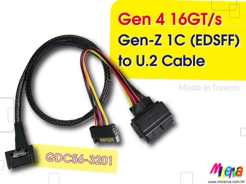 Gen-Z(EDSFF) 1C Male to U.2(SFF-8639)/PCIe Gen4 Cable, 50cm | 露天市集 | 全台 ...