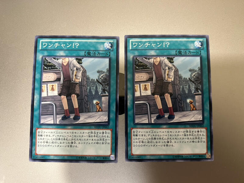 REDU-JP062 汪分之一 唯一機會！（普卡） | 露天市集 | 全台最大的網路購物市集