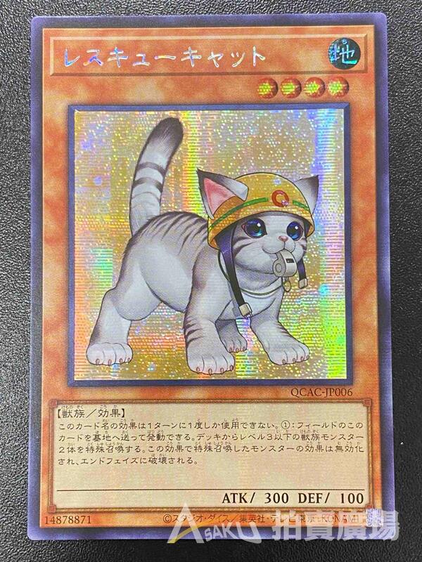[ Asaku ] 遊戲王 韓紙 半鑽 QCAC-JP006 救援貓 異圖 | 露天市集 | 全台最大的網路購物市集