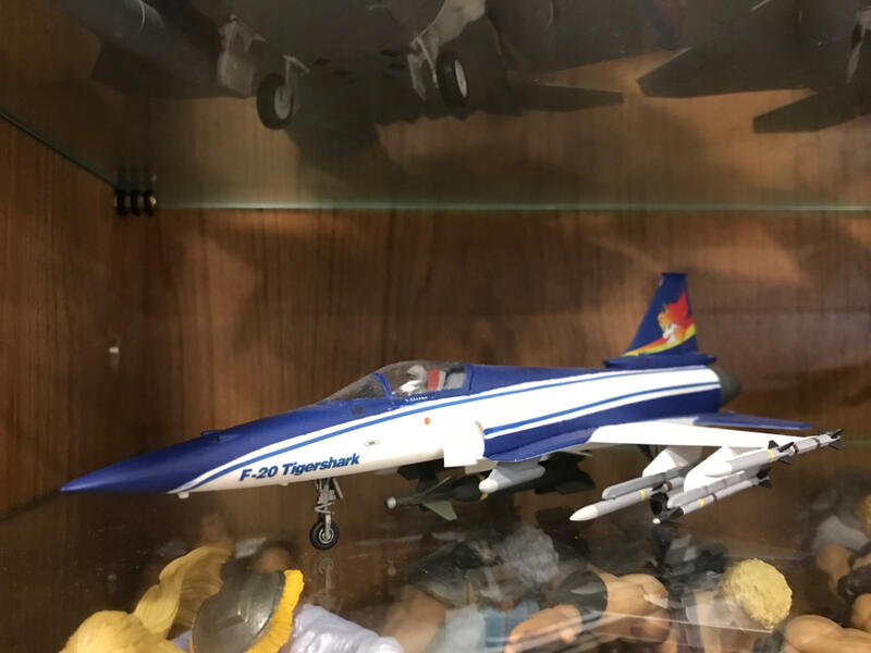 1/72 F-20 Area-88 Tigershark 虎鯊戰鬥機 88 戰區 風間真座機 (手工品成品) | 露天市集 | 全台最大的網路購物市集