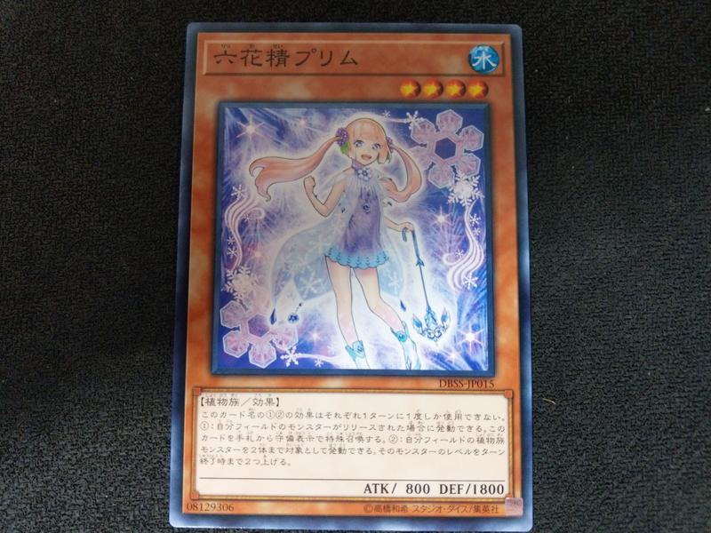 (新世界) DBSS-JP015 六花精 普莉姆 普卡 99-95分 | 露天市集 | 全台最大的網路購物市集