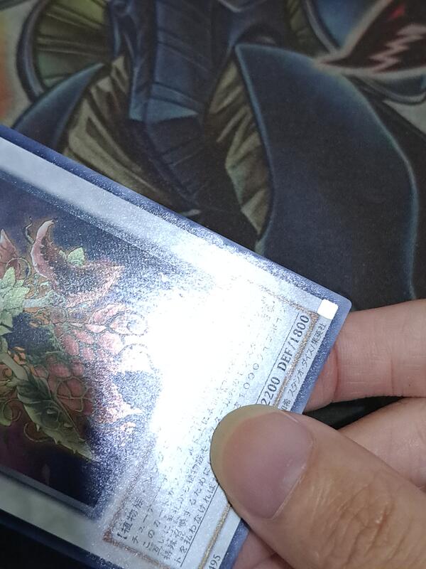 {DARK拍賣}遊戲王-亮面 CSOC-JP042 地獄刺藤 | 露天市集 | 全台最大的網路購物市集