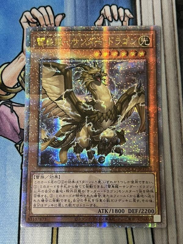 有點名 遊戲王 韓紙 QCCP-JP171 雷鳥龍 雷龍 金鑽 | 露天市集 | 全台最大的網路購物市集