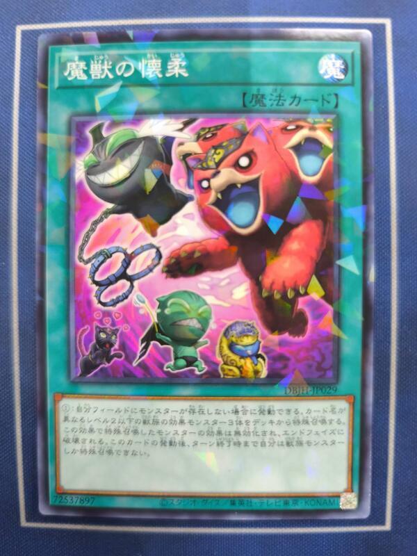 (白貓貓) 日紙《普鑽》DBJH-JP029 魔獸的懷柔 | 露天市集 | 全台最大的網路購物市集