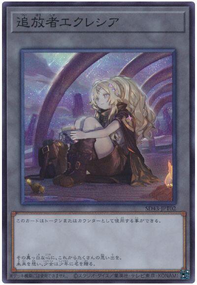 【樂遊wow】韓紙 SD43-JPT02 追放者艾克莉西亞Token (亮面) | 露天市集 | 全台最大的網路購物市集