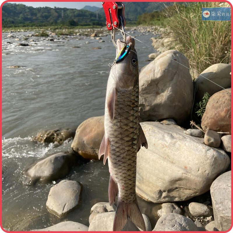 小顫泳 4.6g 4.0cm 沉水 柒采釣具 VIB 假餌 微物 路亞餌 捲仔 溪流 何氏棘魞 | 露天市集 | 全台最大的網路購物市集