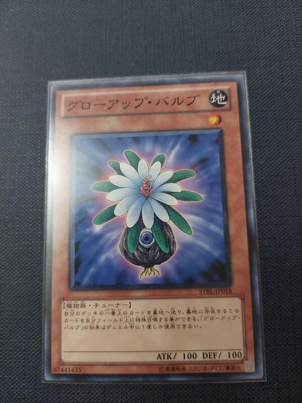 CHC卡舖 遊戲王 STBL-JP018 成長球莖 普卡 | 露天市集 | 全台最大的網路購物市集