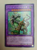 TRC1-JP029 自然合成獸 (半鑽) | 露天市集 | 全台最大的網路購物市集