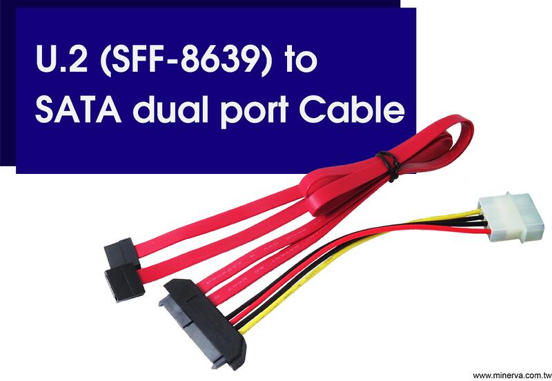 U.2 (SFF-8639) to SATA dual ports 傳輸線 / 50cm | 露天市集 | 全台最大的網路購物市集