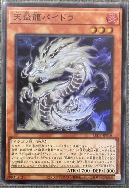 【源氏卡舖】LEDE-JP016 天盃龍 白板龍 (亮面) | 露天市集 | 全台最大的網路購物市集