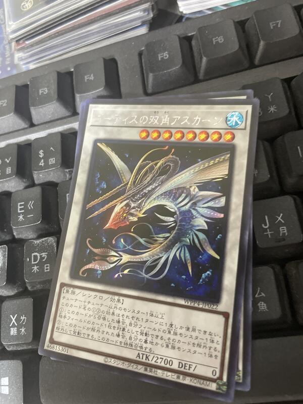 【源氏卡舖】遊戲王WPP4-JP022 異魚雙角 阿斯坎 (斜鑽) | 露天市集 | 全台最大的網路購物市集