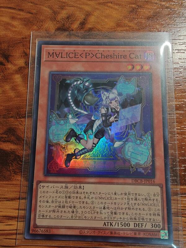 庫拉格の店 遊戲王 日紙 DBCB-JP016 碼麗絲 柴郡貓 (亮面) | 露天市集 | 全台最大的網路購物市集