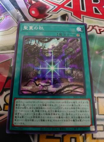 庫拉格の店 遊戲王 日紙 SLT1-JP038 聖蔓之社 (普卡) | 露天市集 | 全台最大的網路購物市集