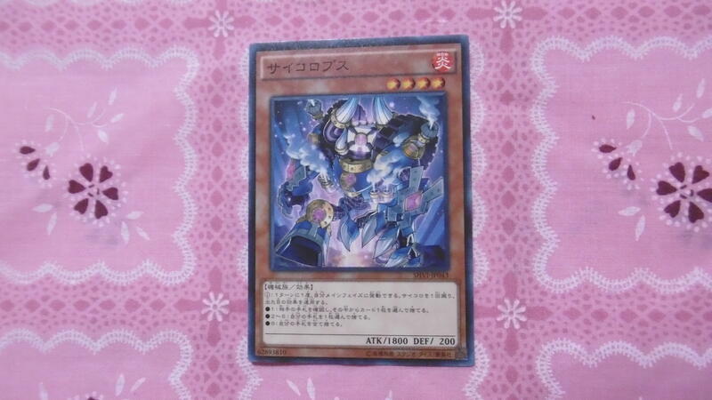 SHVI-JP043 | 露天市集 | 全台最大的網路購物市集