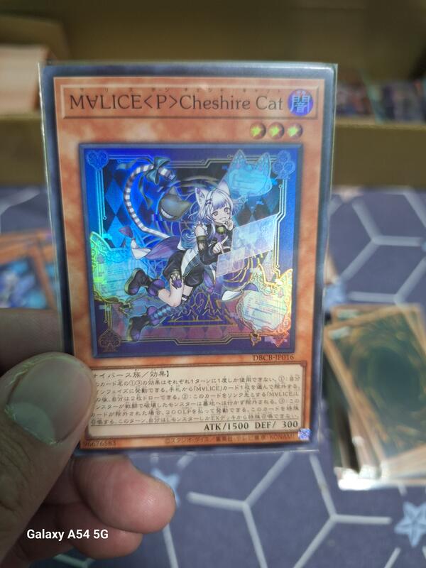 (小越源) 遊戲王(韓紙) DBCB-JP016 碼麗絲＜士兵＞柴郡貓 (亮面) 金亮 台中可面交 | 露天市集 | 全台最大的網路購物市集