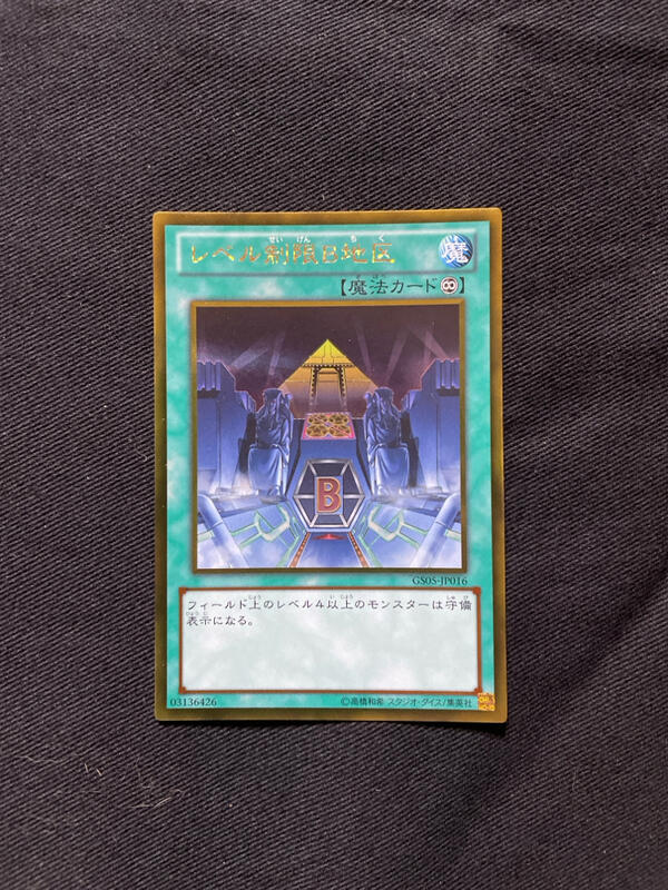 [所長的店]等級限制B地區 (黃金亮面) 日紙 GS05-JP016 | 露天市集 | 全台最大的網路購物市集