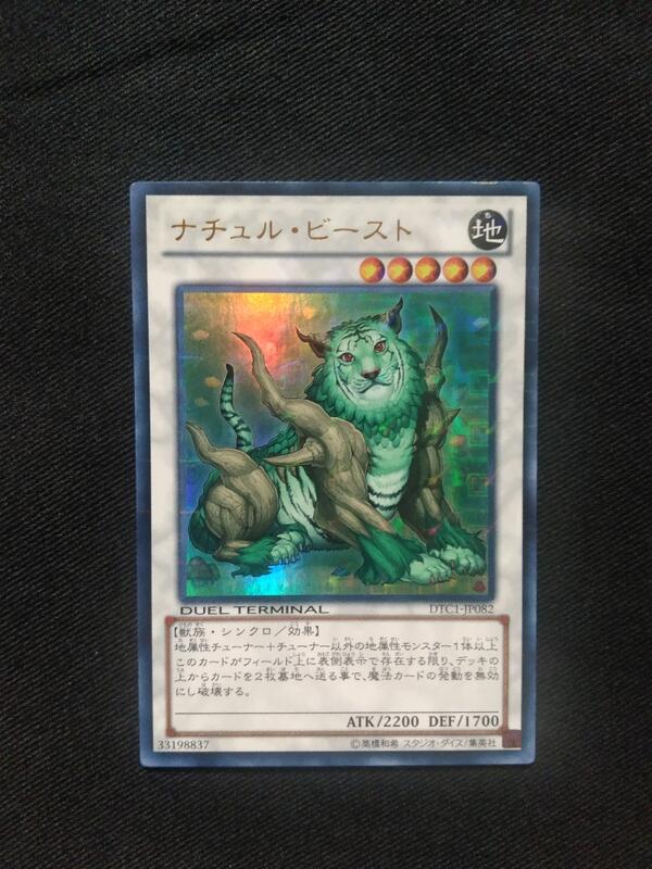 [ 所長的店 ] *全網最低* 自然獸 (金亮方鑽) 日紙 機台卡 DTC1-JP082 | 露天市集 | 全台最大的網路購物市集