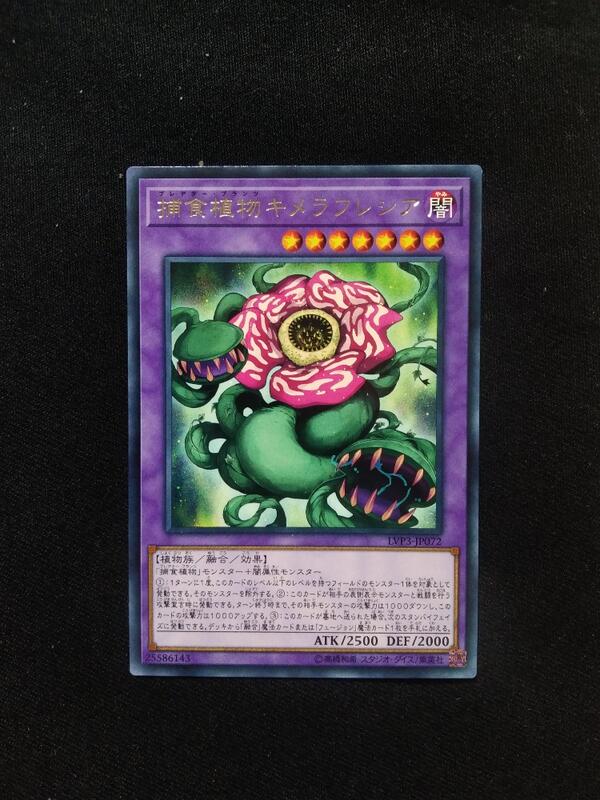 [所長的店]捕食植物 奇美拉大王花 (銀字) 日紙 LVP3-JP072 搜：SPFE-JP009 | 露天市集 | 全台最大的網路購物市集