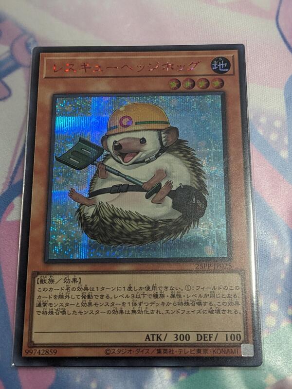 [呆瓜鯊商店]遊戲王 25PP-JP025 救援刺蝟日紙 紅字半鑽 | 露天市集 | 全台最大的網路購物市集