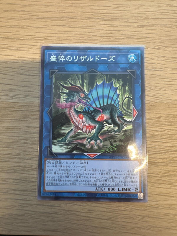 遊戲王 WPP5-JP059 憔悴蜥蜴龍 銀字 | 露天市集 | 全台最大的網路購物市集