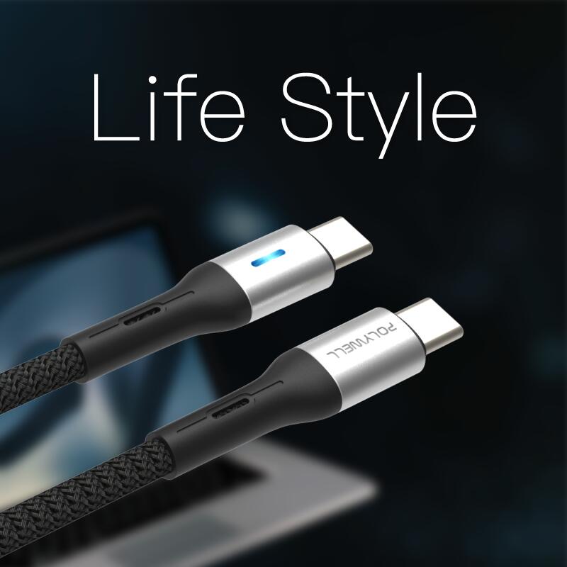 (現貨) 寶利威爾 Type-C To Type-C LED PD編織快充線 適用iPhone POLYWELL | 露天市集 | 全台最大的 ...