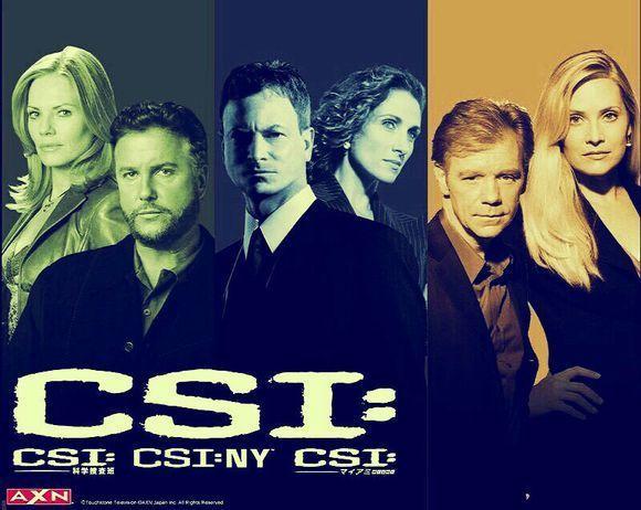 csi犯罪現場調查拉斯維加斯篇1-16季邁阿密篇1-10季紐約篇1-9 僅供電腦播放DVD | 露天市集 | 全台最大的網路購物市集