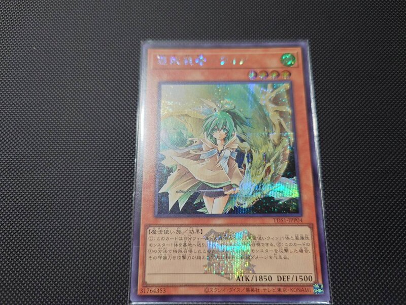 「達魯伊」遊戲王 TDS1-JPP04 憑依裝着 薇茵 (原圖鋼印半鑽) | 露天市集 | 全台最大的網路購物市集