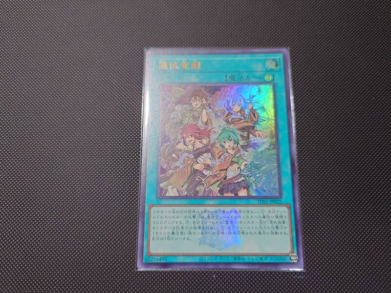 「達魯伊」遊戲王 TDS1-JP022 憑依覚醒 (鋼印金亮) | 露天市集 | 全台最大的網路購物市集