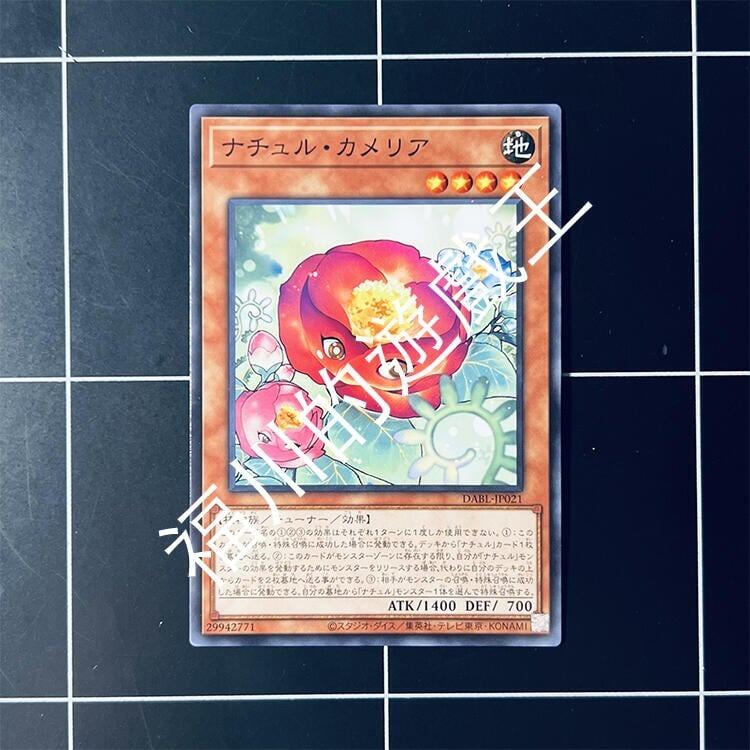 福川的遊戲王 DABL-JP021 自然山茶花 普卡（日） | 露天市集 | 全台最大的網路購物市集