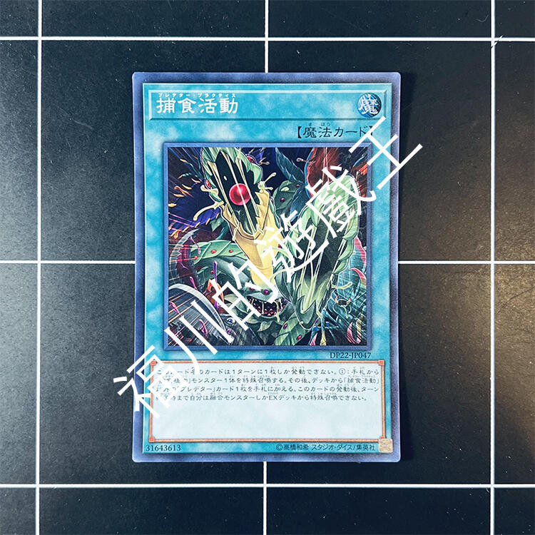福川的遊戲王 DP22-JP047 捕食活動 亮面（韓） | 露天市集 | 全台最大的網路購物市集