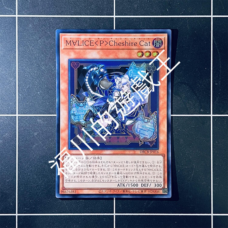 福川的遊戲王 DBCB-JP016 碼麗絲 柴郡貓 亮面（韓） | 露天市集 | 全台最大的網路購物市集