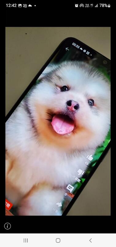 已售完 ＞大特價 三星note8 深黑色 高CP值 | 露天市集 | 全台最大的網路購物市集