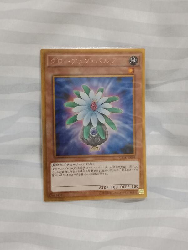 [簡易卡鋪]成長球莖 GP16 JP001黃金 | 露天市集 | 全台最大的網路購物市集