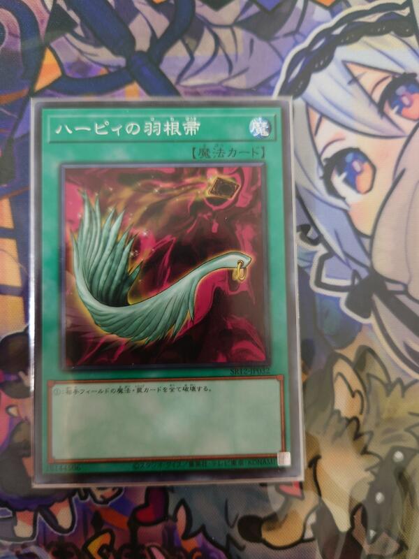 神鷹羽毛掃 普卡（SR12-JP032 SD45-JP026 SD37-JP032 15AX-JPM47） | 露天市集 | 全台最大的網路購物市集